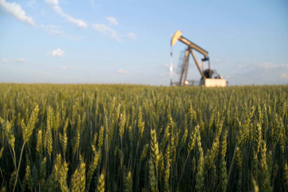 Wie Erdöl entsteht – natürlicher Rohstoff aus Urzeiten - BVEG